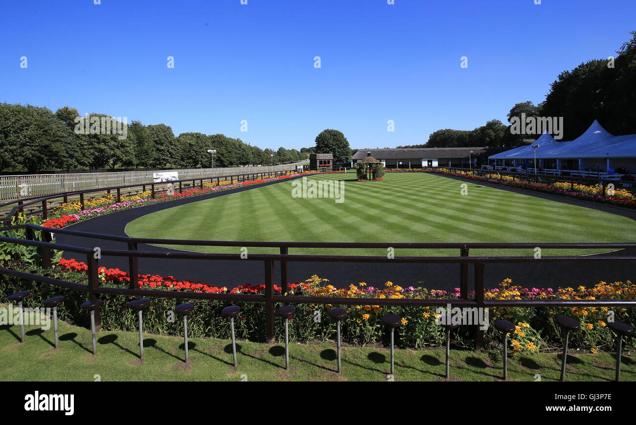 Newmarket racecourse general hi-res stock photography and images - Alamy