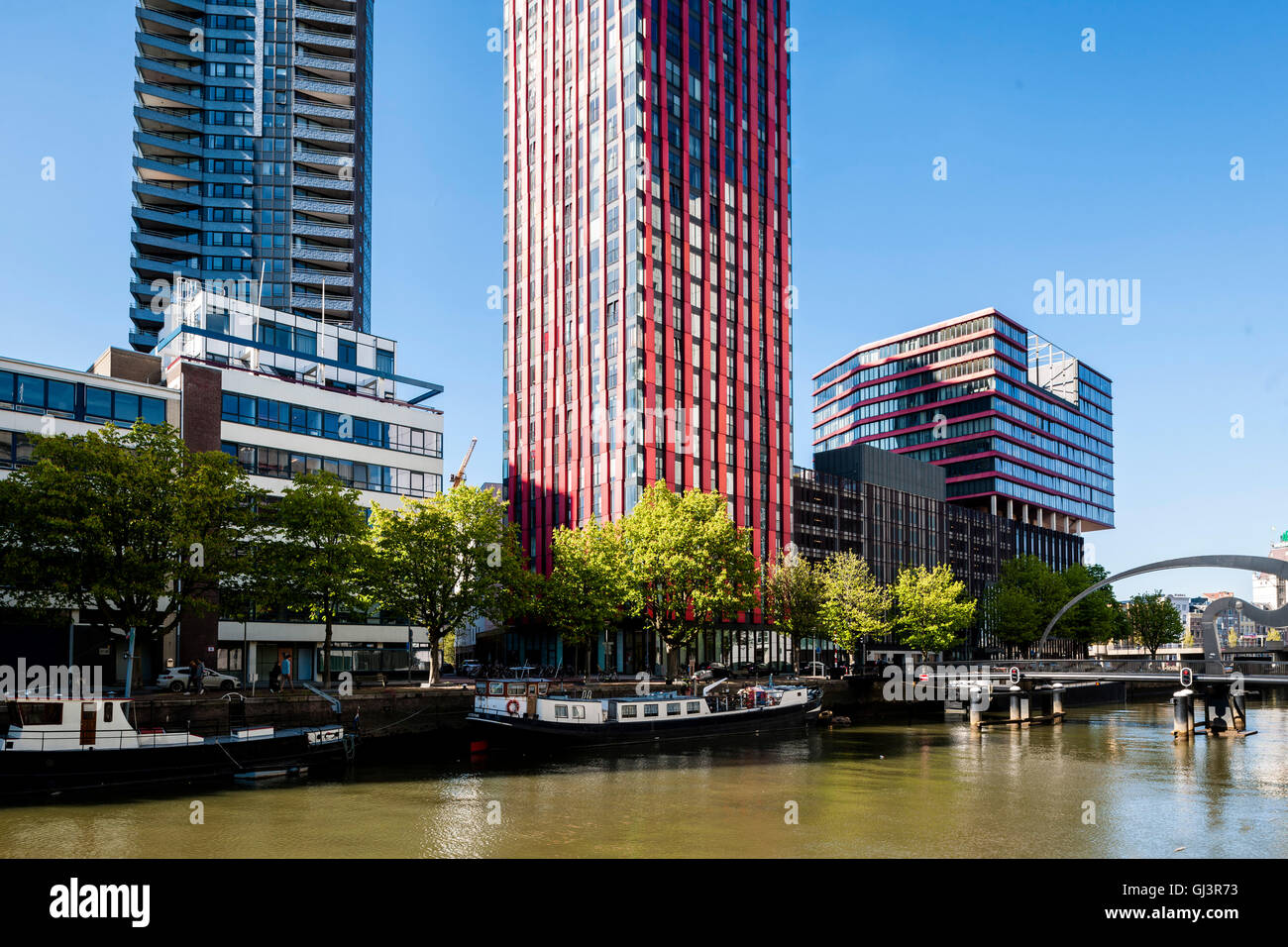 City scape view as seen from the canal. The Red Apple, Rotterdam ...