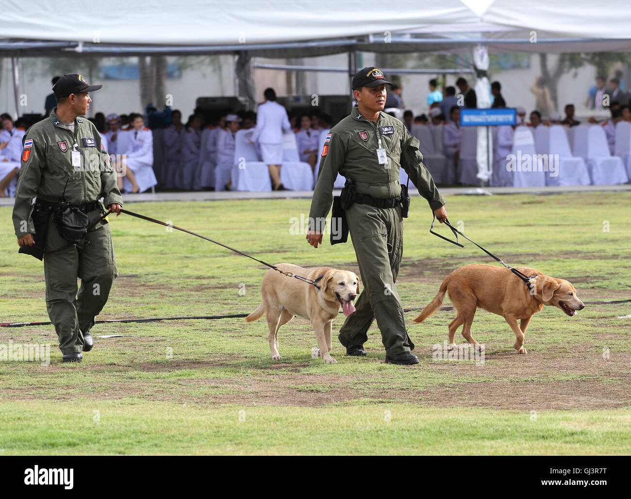 Thailand. 12th Aug, 2016. Thai K9 unit patrol for EOD Security at Sanam ...