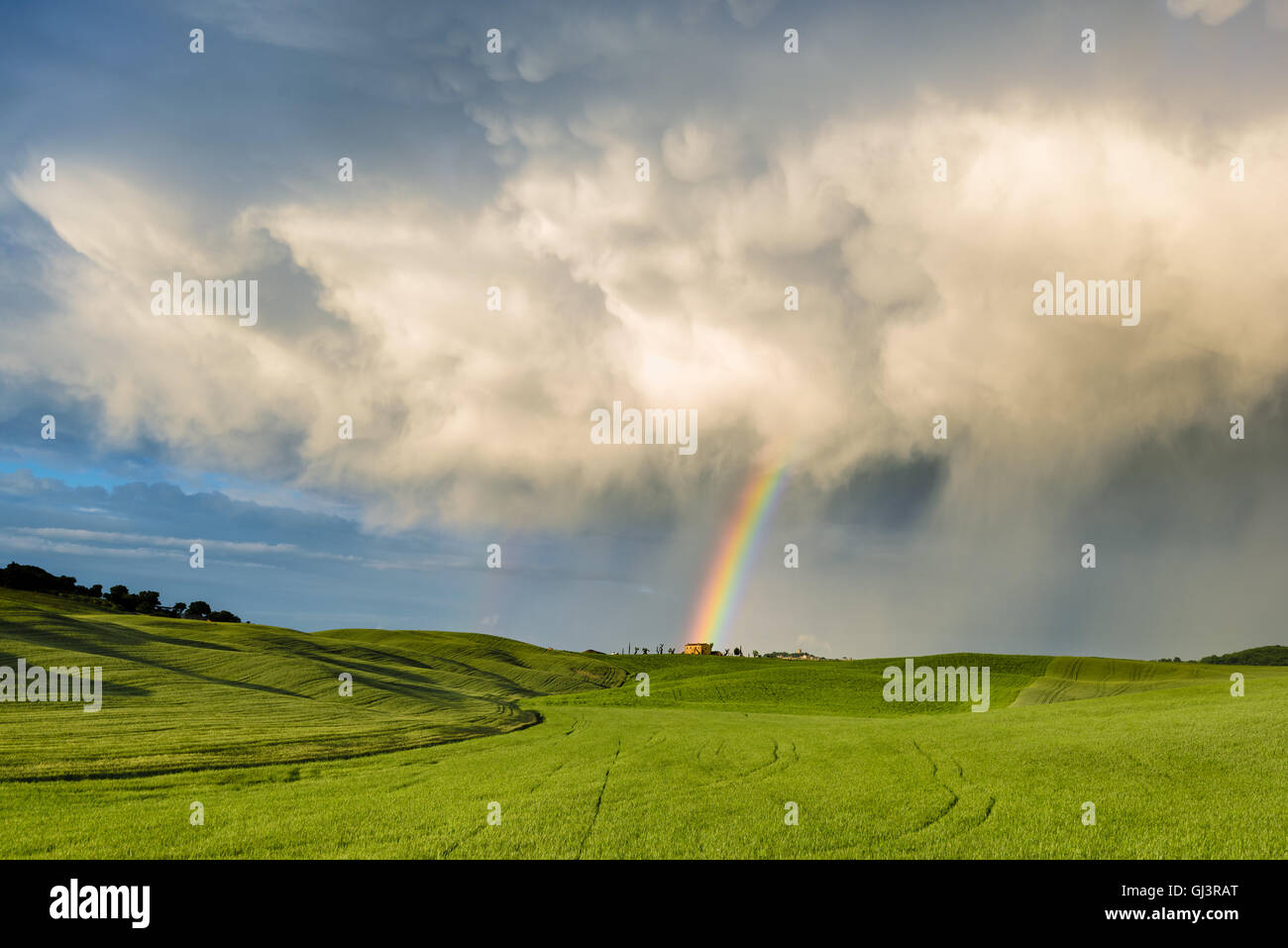 Summer weather storm hi-res stock photography and images - Alamy