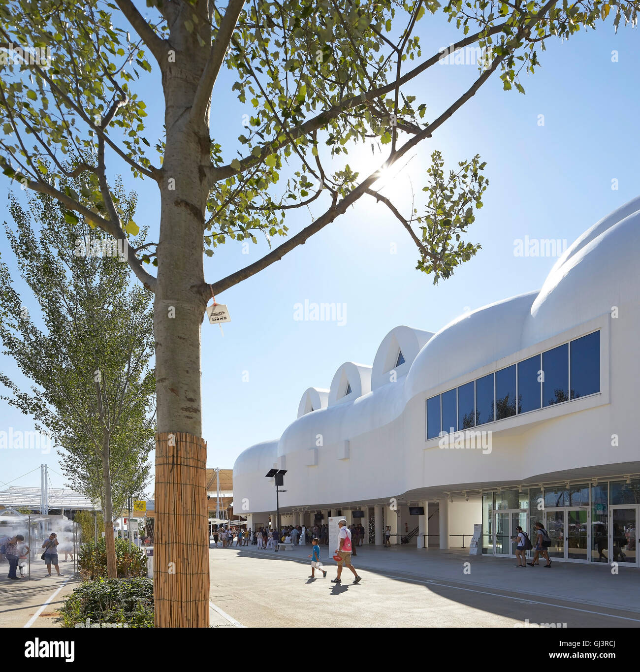 Approach to curved pavilion with context. Milan EXPO 2015, Korea ...