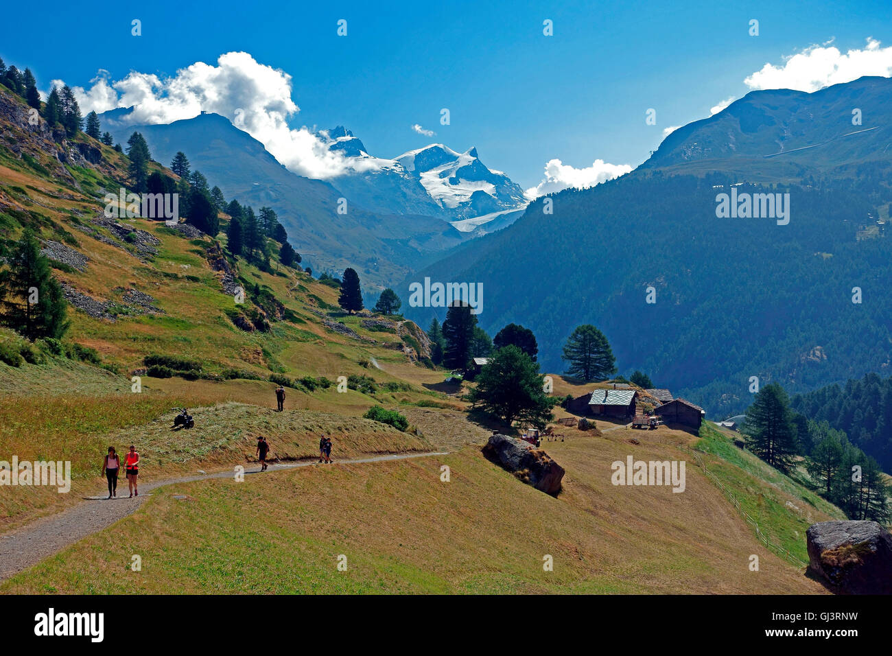 Zmutt hi-res stock photography and images - Alamy