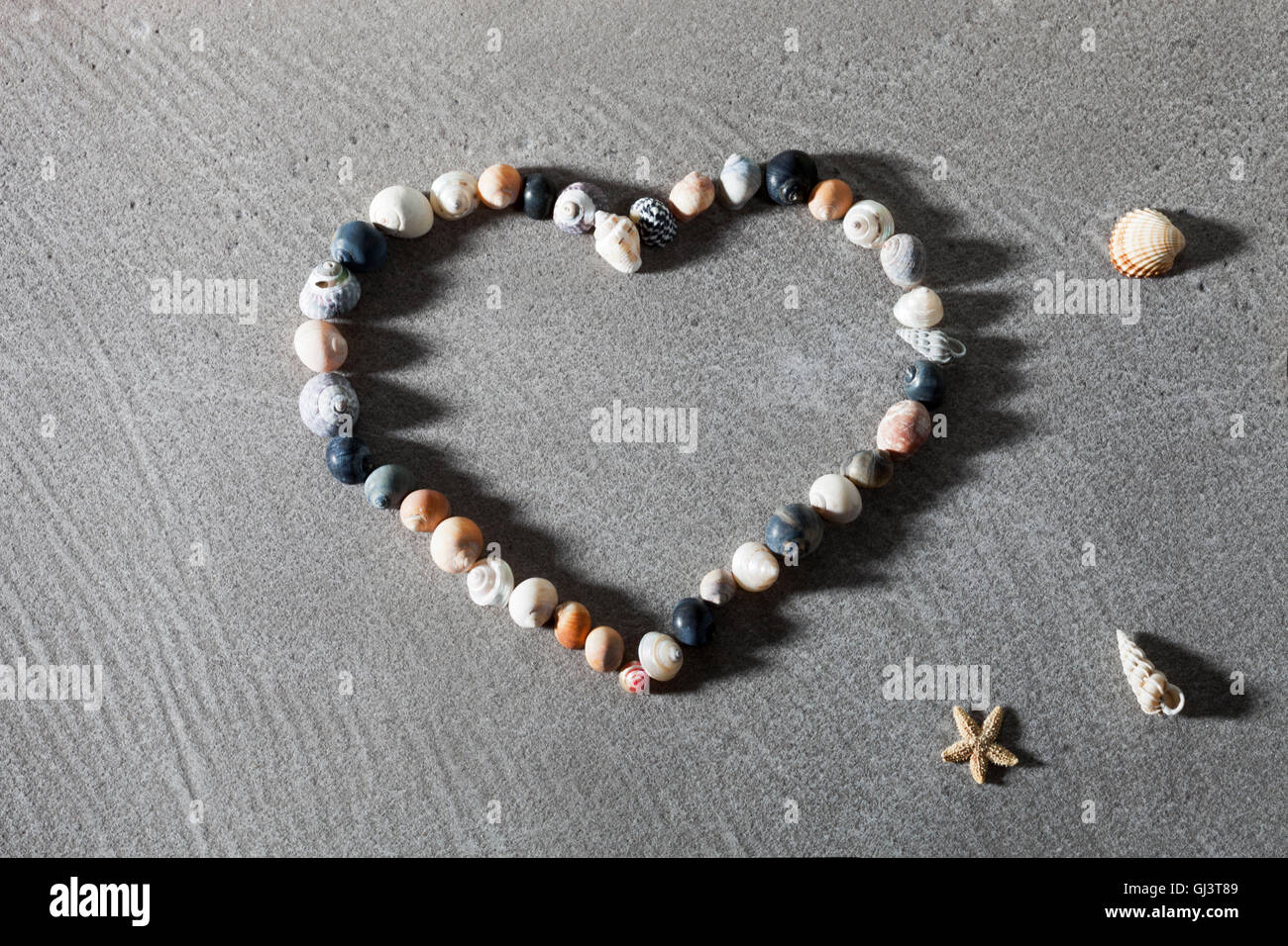 Mussel heart on concrete ground Stock Photo - Alamy
