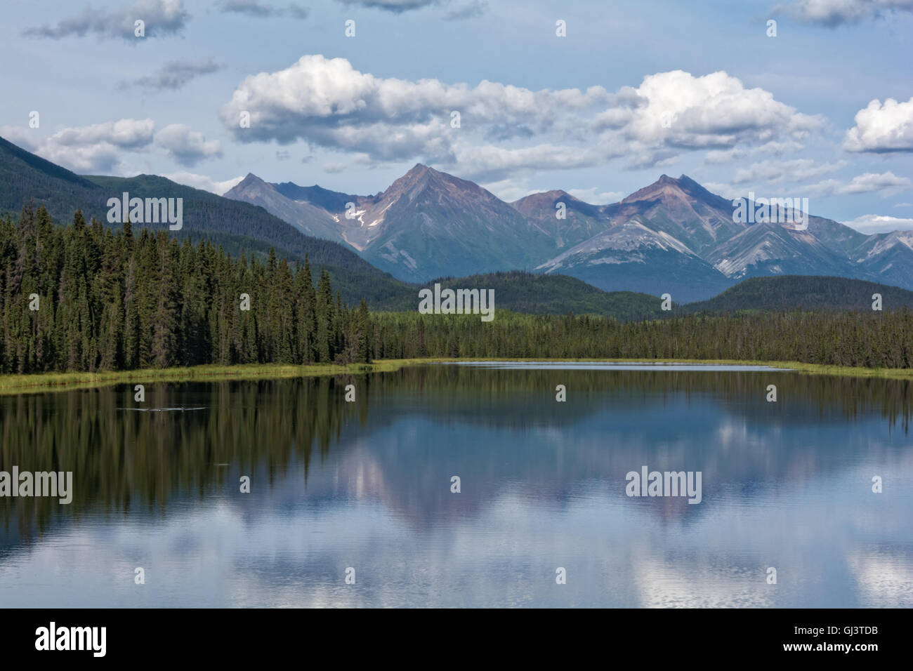 A trio of birds make the only ripples in a still lake reflecting a ...