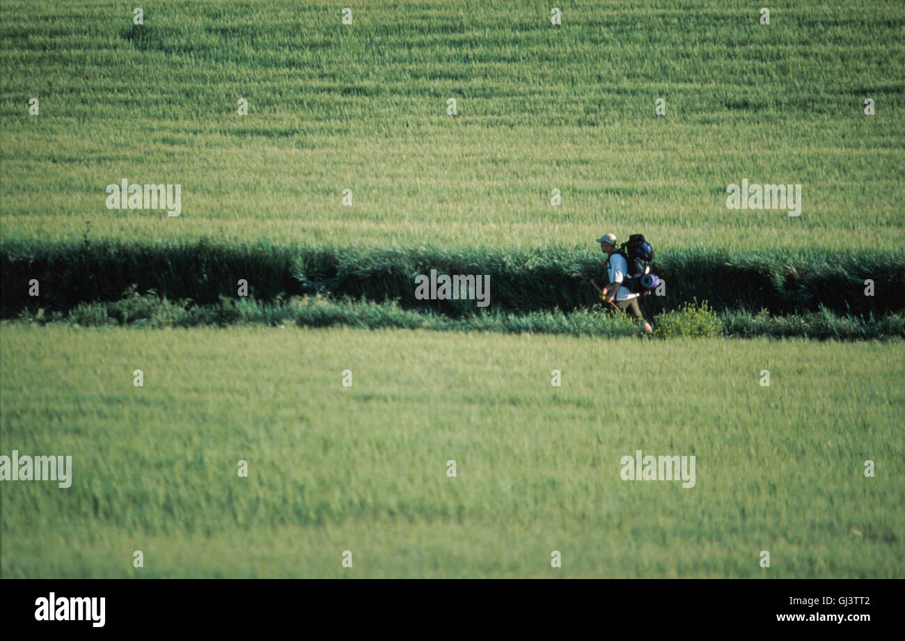 Pilgrim at Arroyo de San Bol surrounded by wheat fields with over 5 ...
