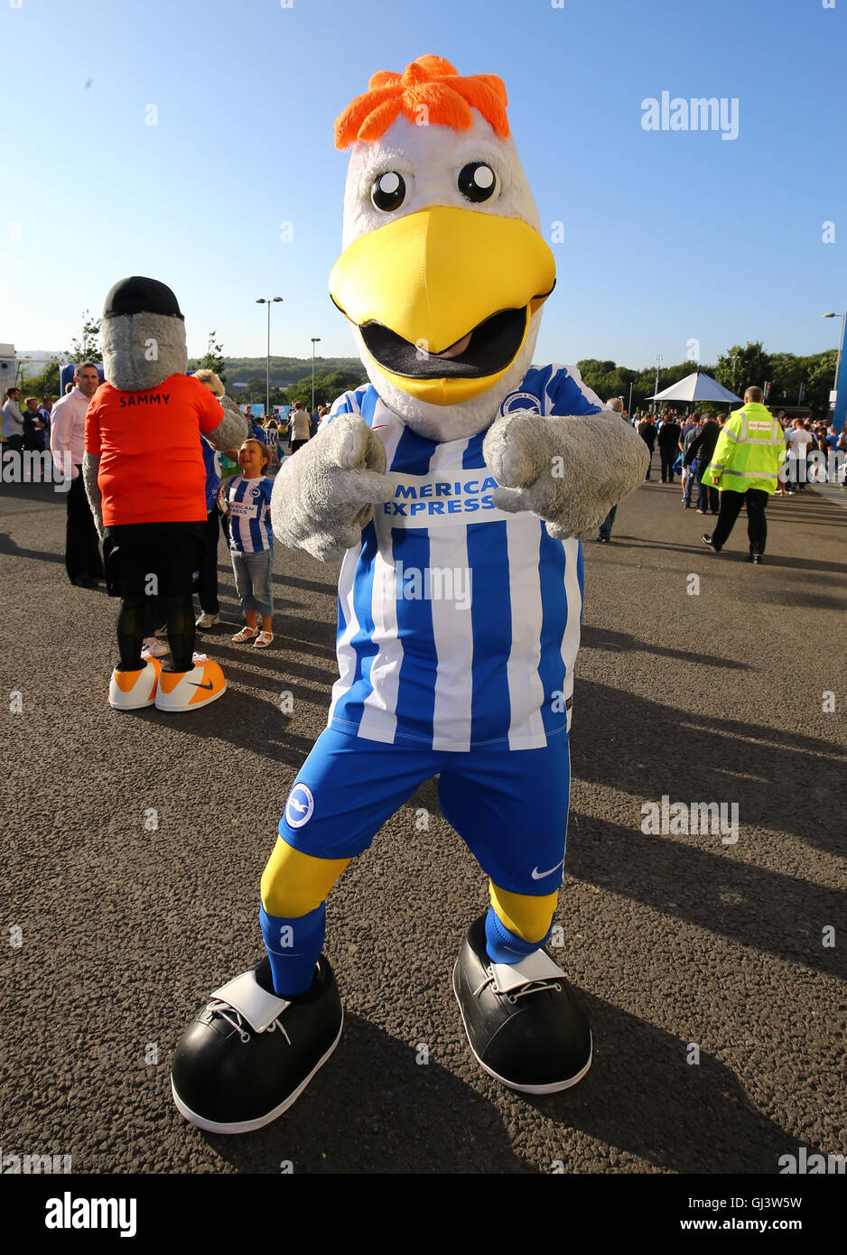 Brighton mascot Gully at the stadium prior to the Sky Bet Championship ...