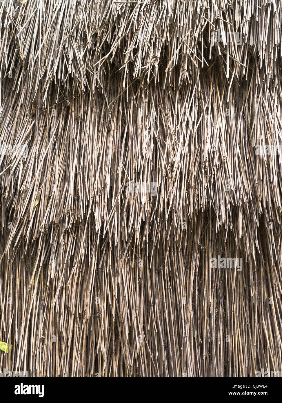 Thatch thatched thatching hi-res stock photography and images - Alamy