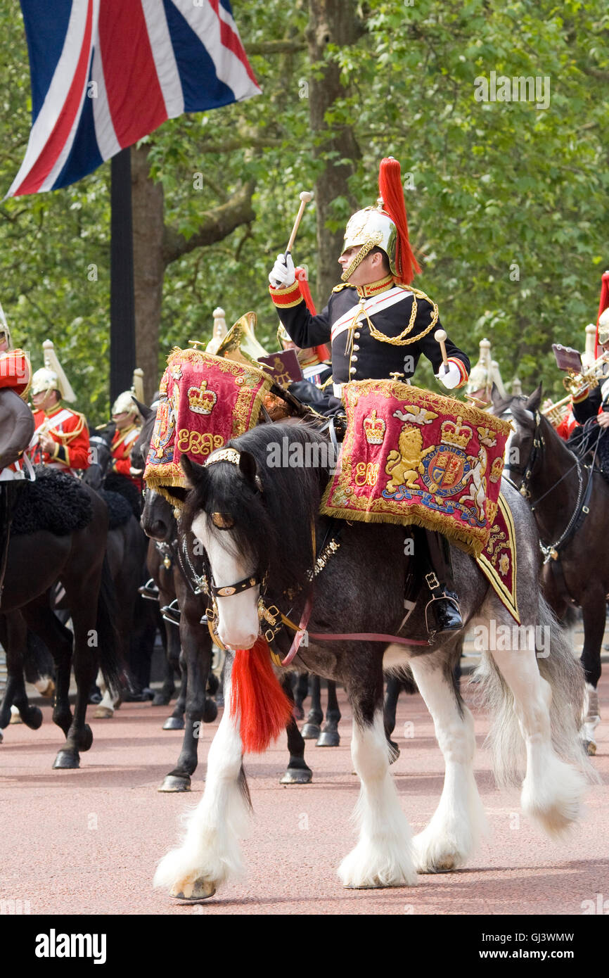 Mounted band of the Household Cavalry at Trooping the Color Mercury the ...