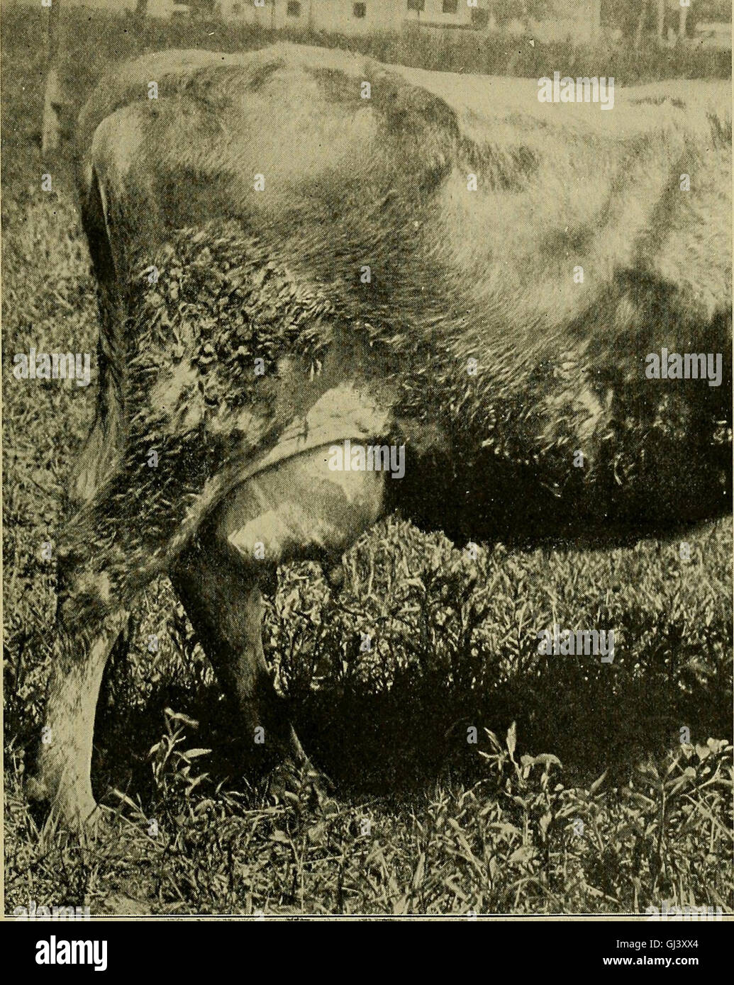 This 1922 guide explores the principles and practices involved in ...