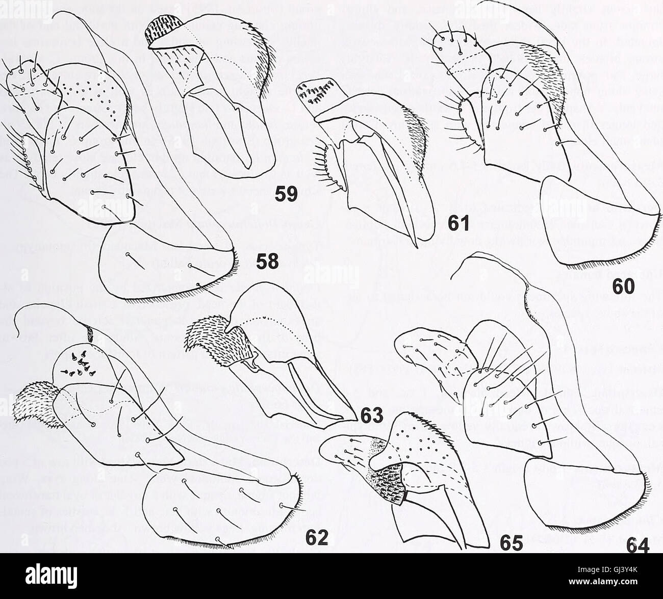 A publication from 2003 by the Zoological Research Institute and Museum ...