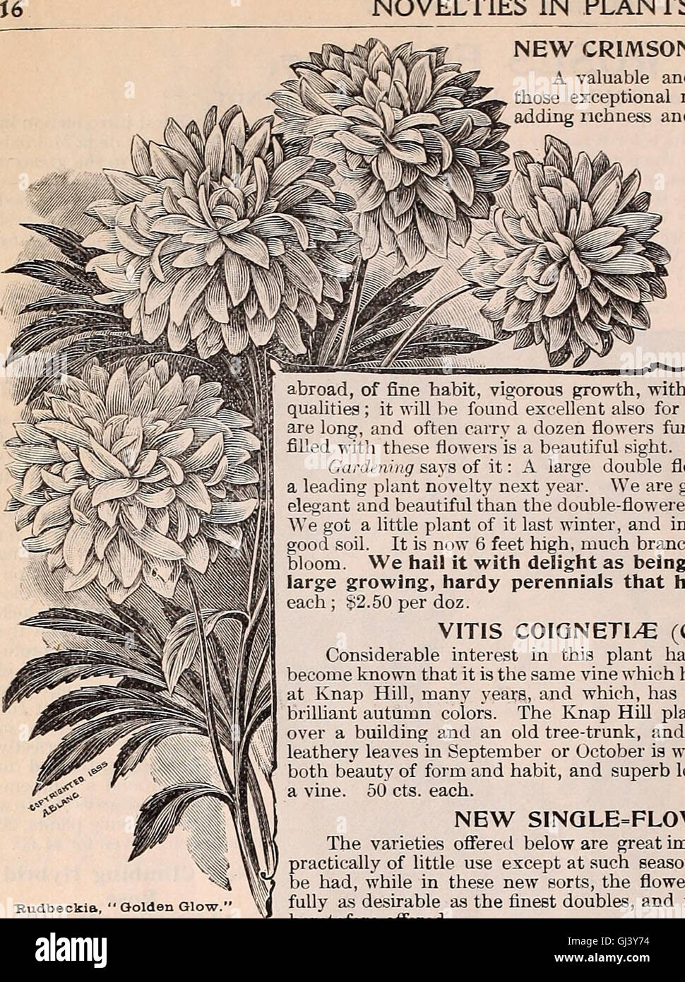 1897 calendar hi-res stock photography and images - Alamy