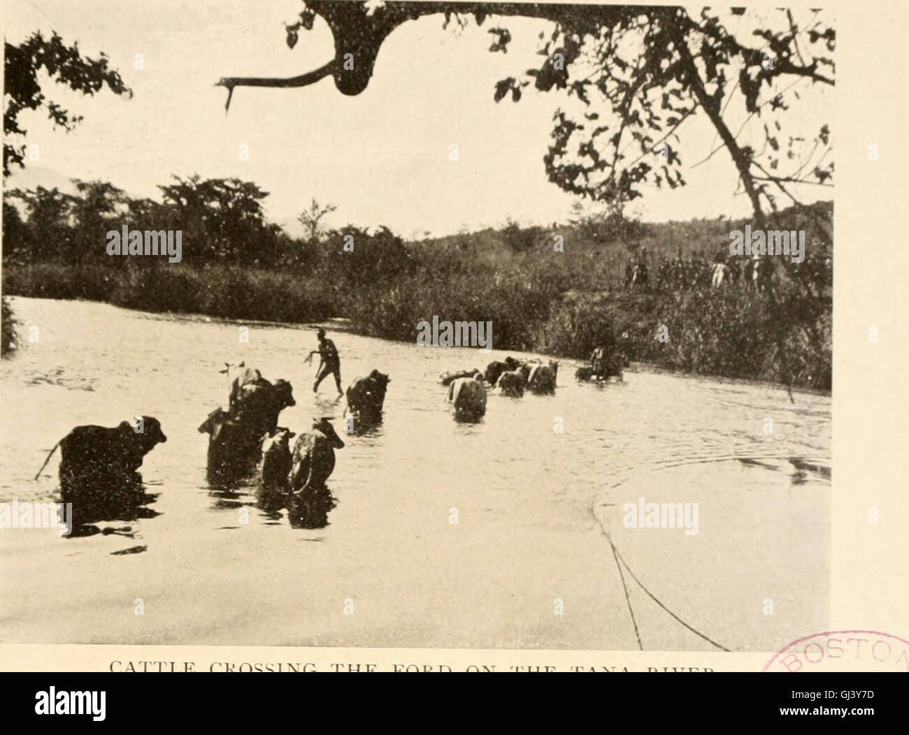 This 1908 book details the practice of big game hunting along the ...