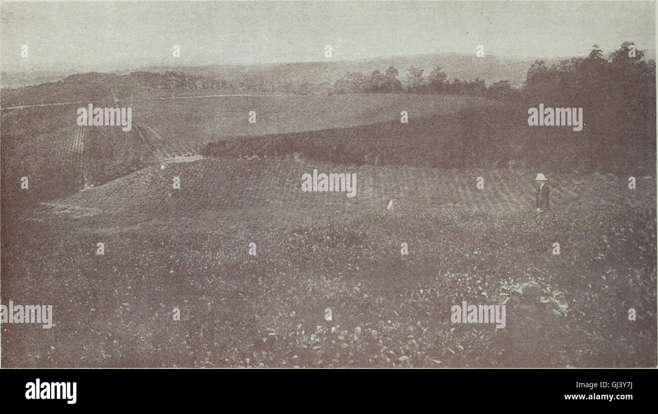 This 1911 guide offers detailed descriptions of Natal Province ...