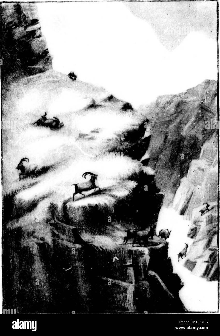 Exotic publication Black and White Stock Photos & Images - Alamy