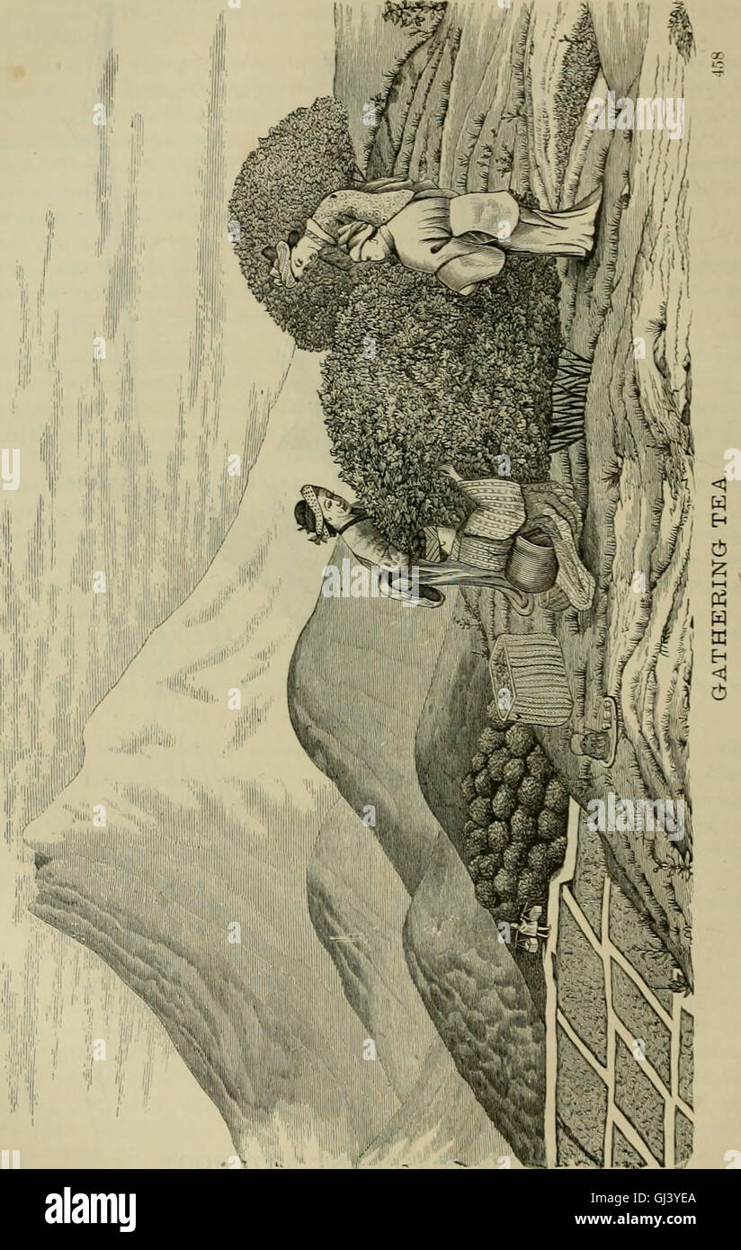 The 1882 'American Farmer' is a comprehensive agricultural reference ...