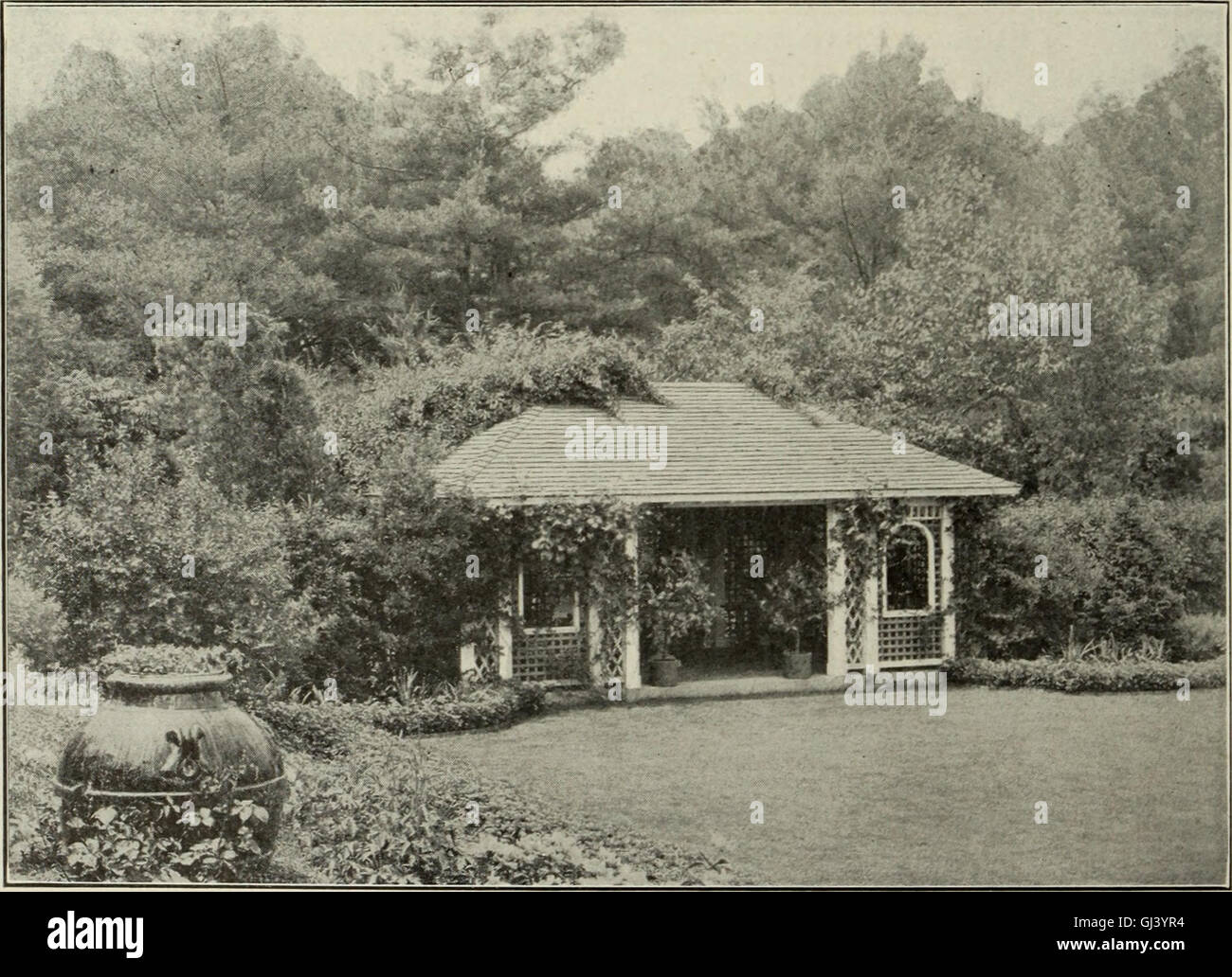'American Cookery' (1919) is a comprehensive guide to American cuisine ...