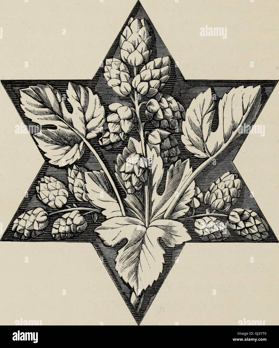 This 1872 work provides art studies based on nature, offering guidance ...