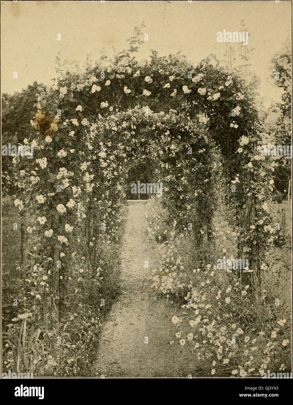 Sun Dials and Roses of Yesterday (1902) explores the historical ...