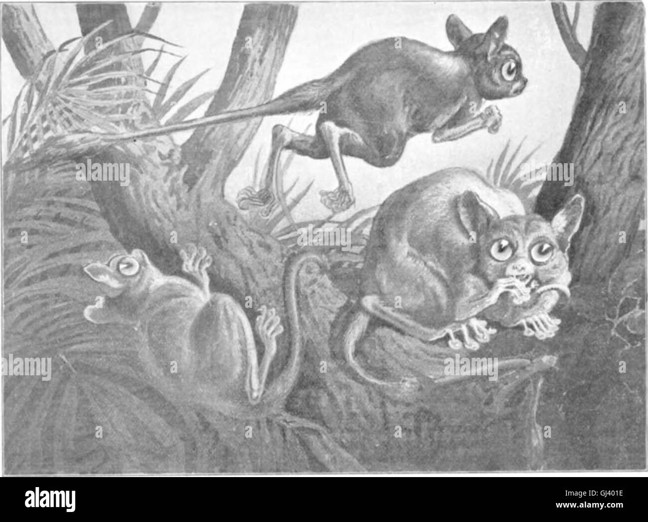 Page number 92 hi-res stock photography and images - Alamy