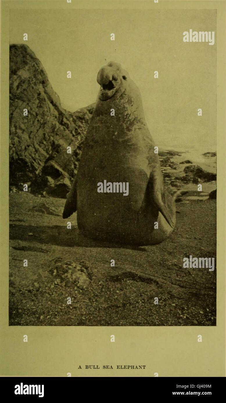 This 1918 work explores the history of the discovery and exploration of ...