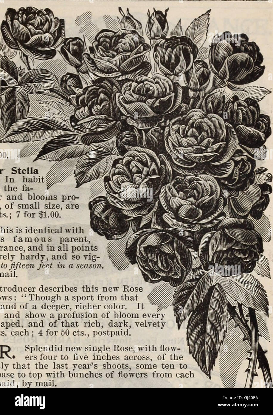 This 1897 farm annual from Burpee’s Fordhook Farm offers expert advice ...