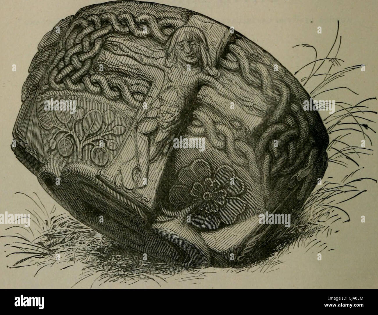 This 1895 publication documents the genealogy and history of the ...