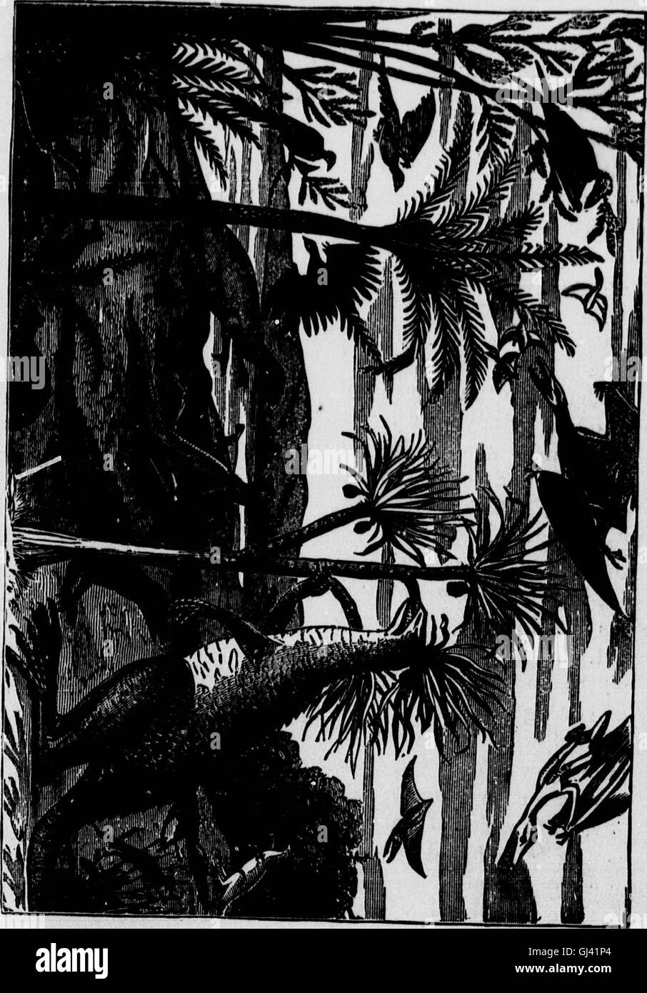 This illustrated work details the natural history of both sea and land ...