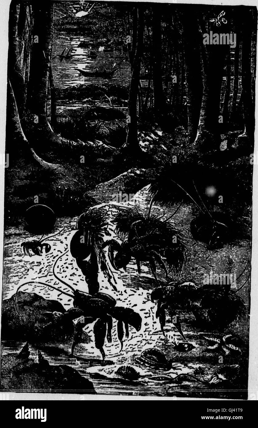 *Sea and Land* explores natural history, with a focus on marine life ...