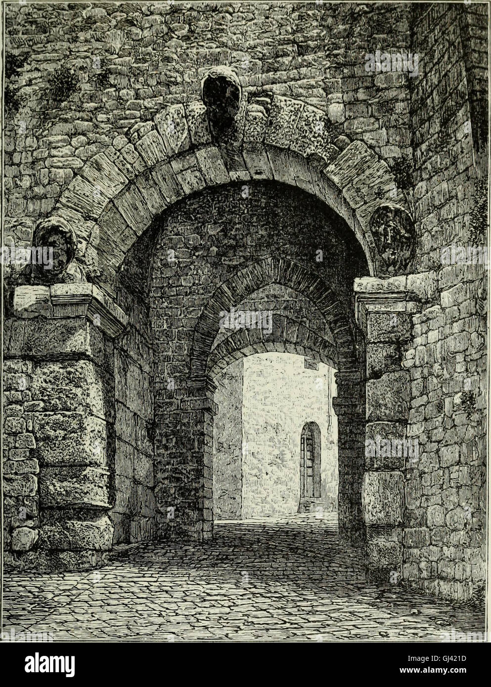 An 1878 exploration titled *The Cities and Cemeteries of Etruria ...