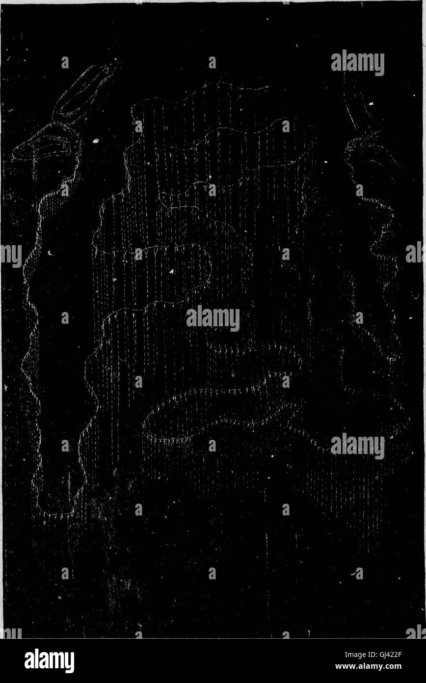 This illustrated history explores the wonders of nature before and ...