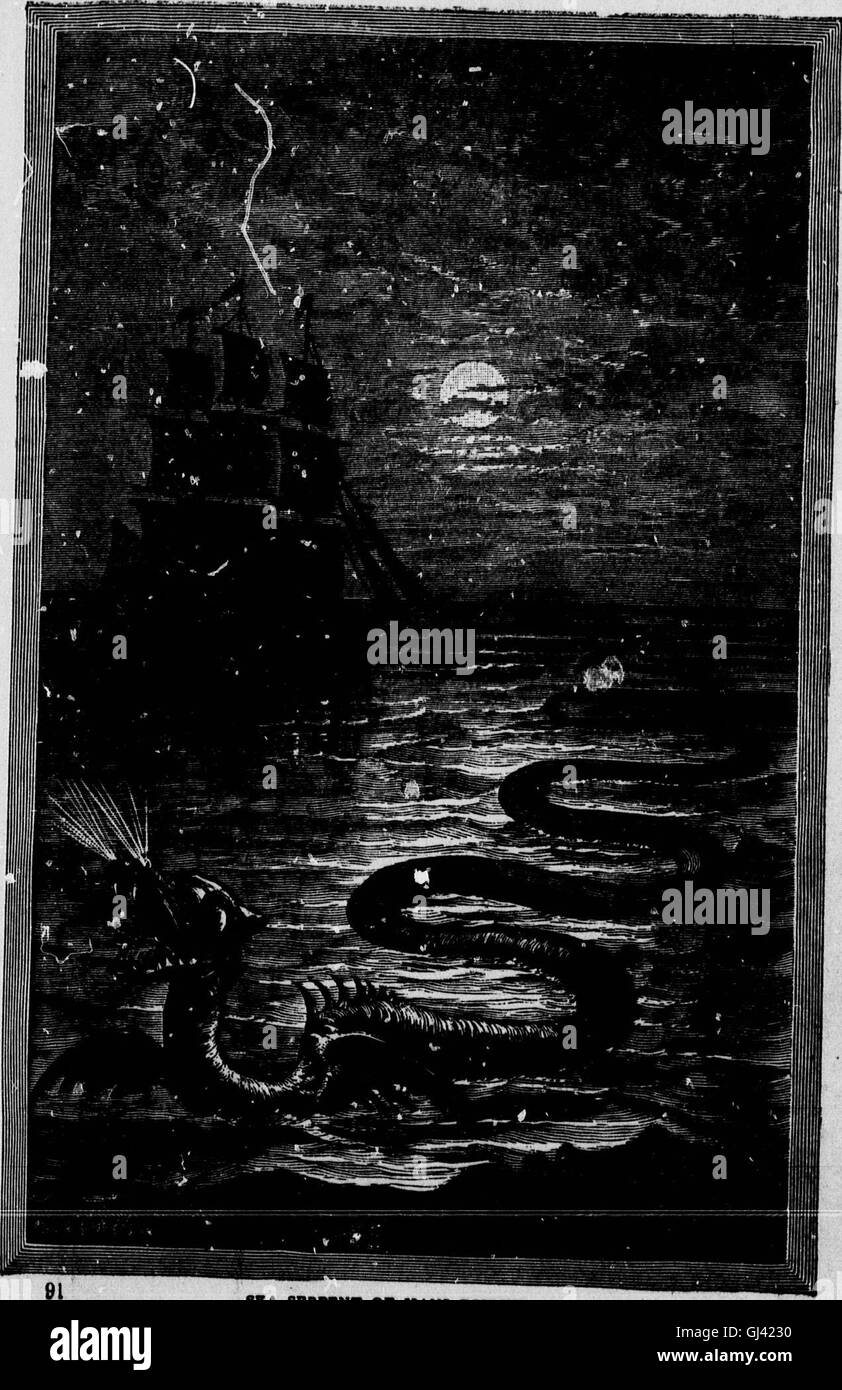 Sea and Land (microform) offers an illustrated natural history ...