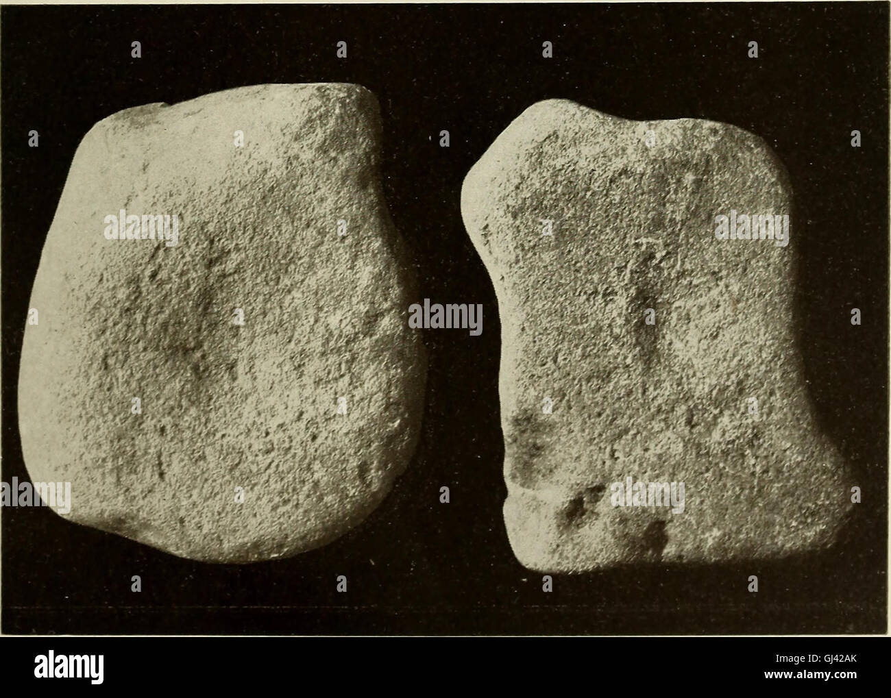 This 1915 exploration of a Munsee Native American cemetery near ...