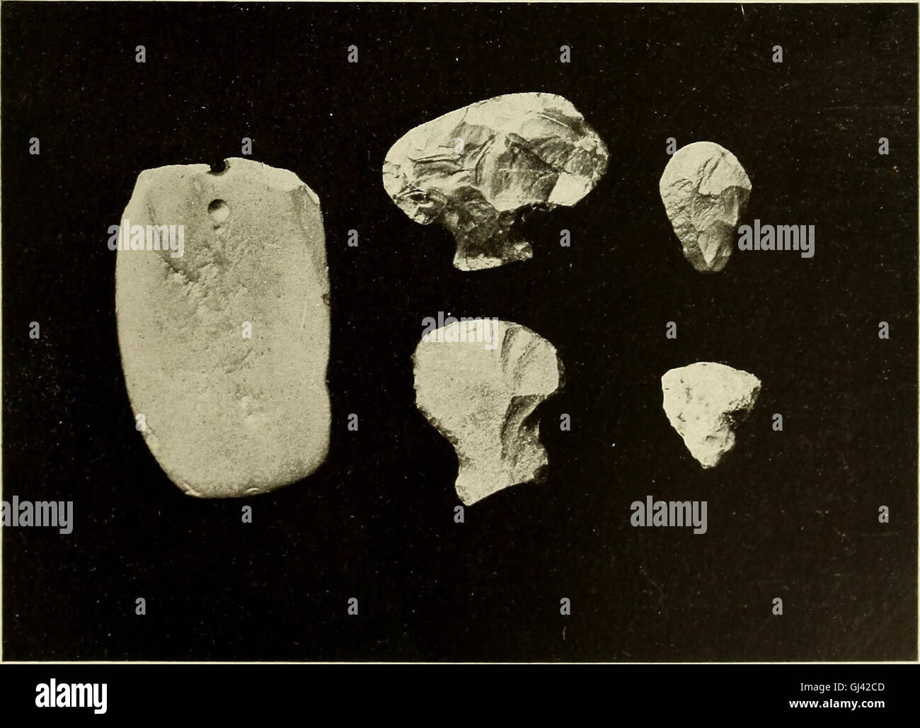 This 1915 publication reports on the excavation of a Munsee cemetery ...