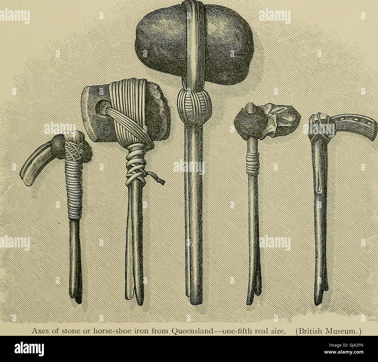 'The History of Mankind' (1896) is a historical work that examines the ...