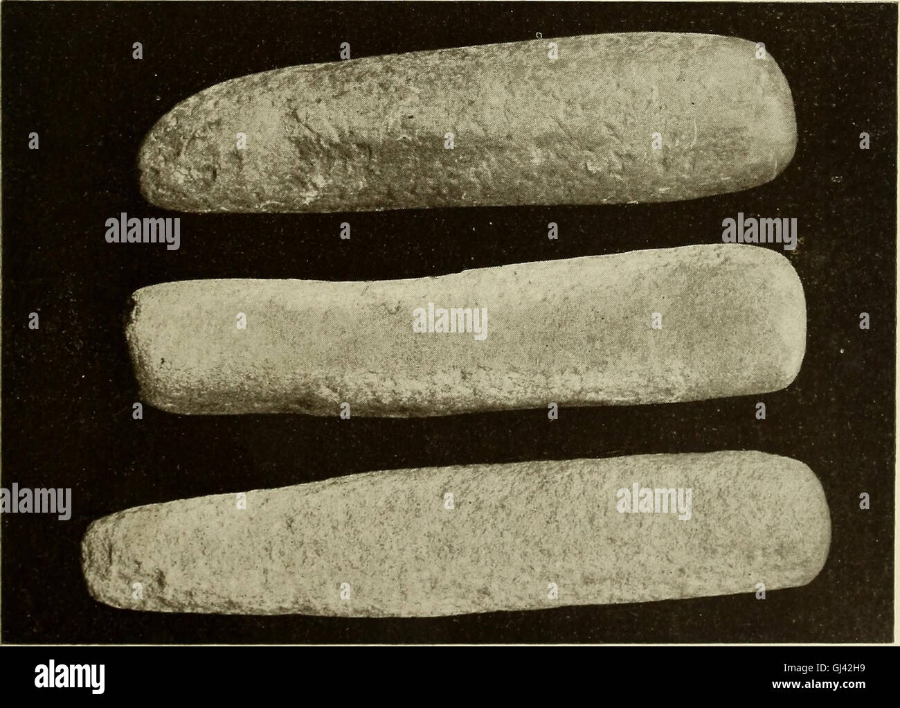 This 1915 exploration report documents the findings from an excavation ...