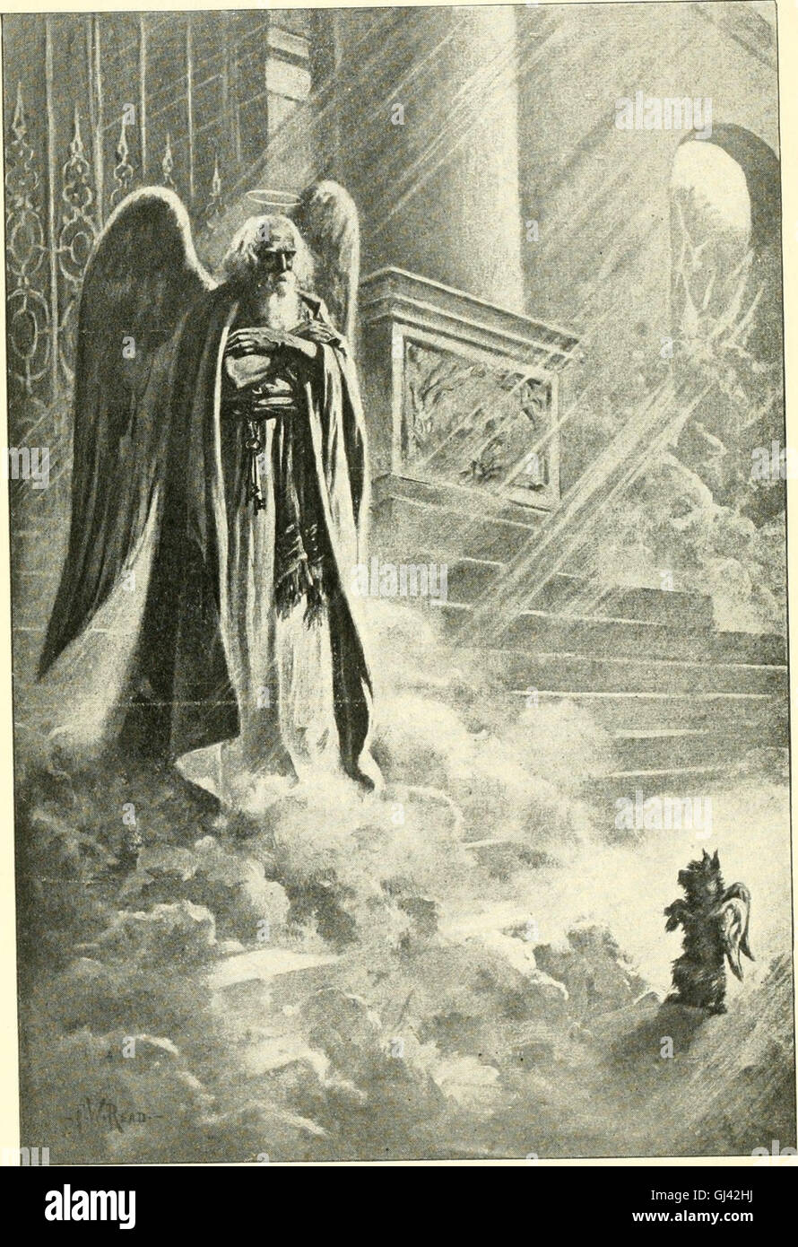 *Cemeteries for Animals* (1900) examines the establishment and ...