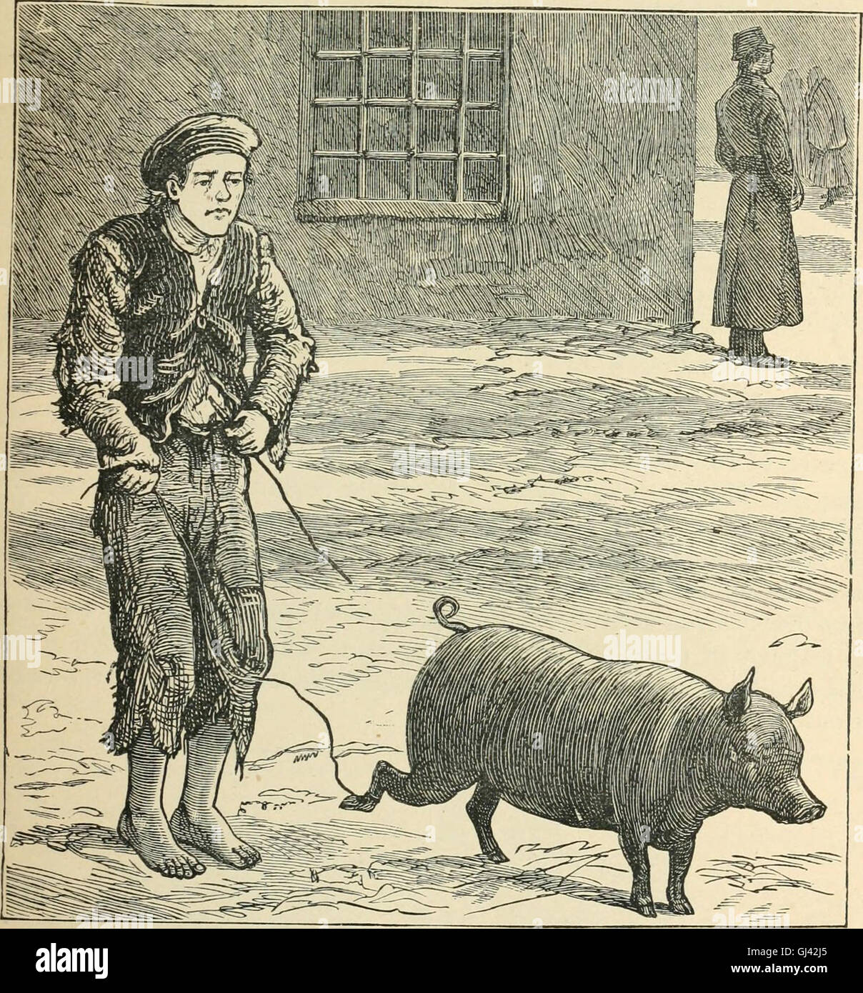 A detailed exploration of humanity, animals, and plants, discussing the ...