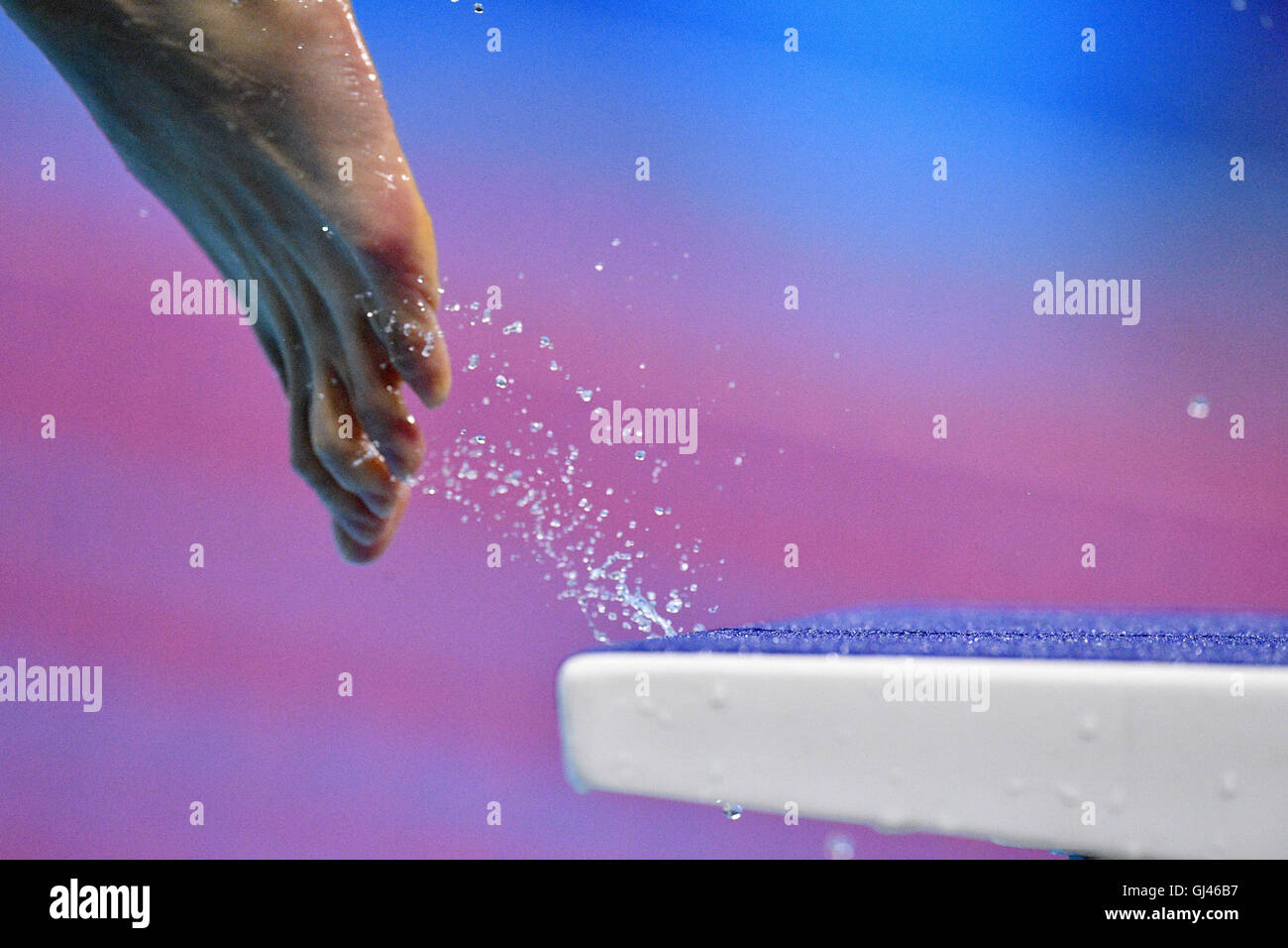 A swimmer jumps from the starting block prior today's competitions of ...