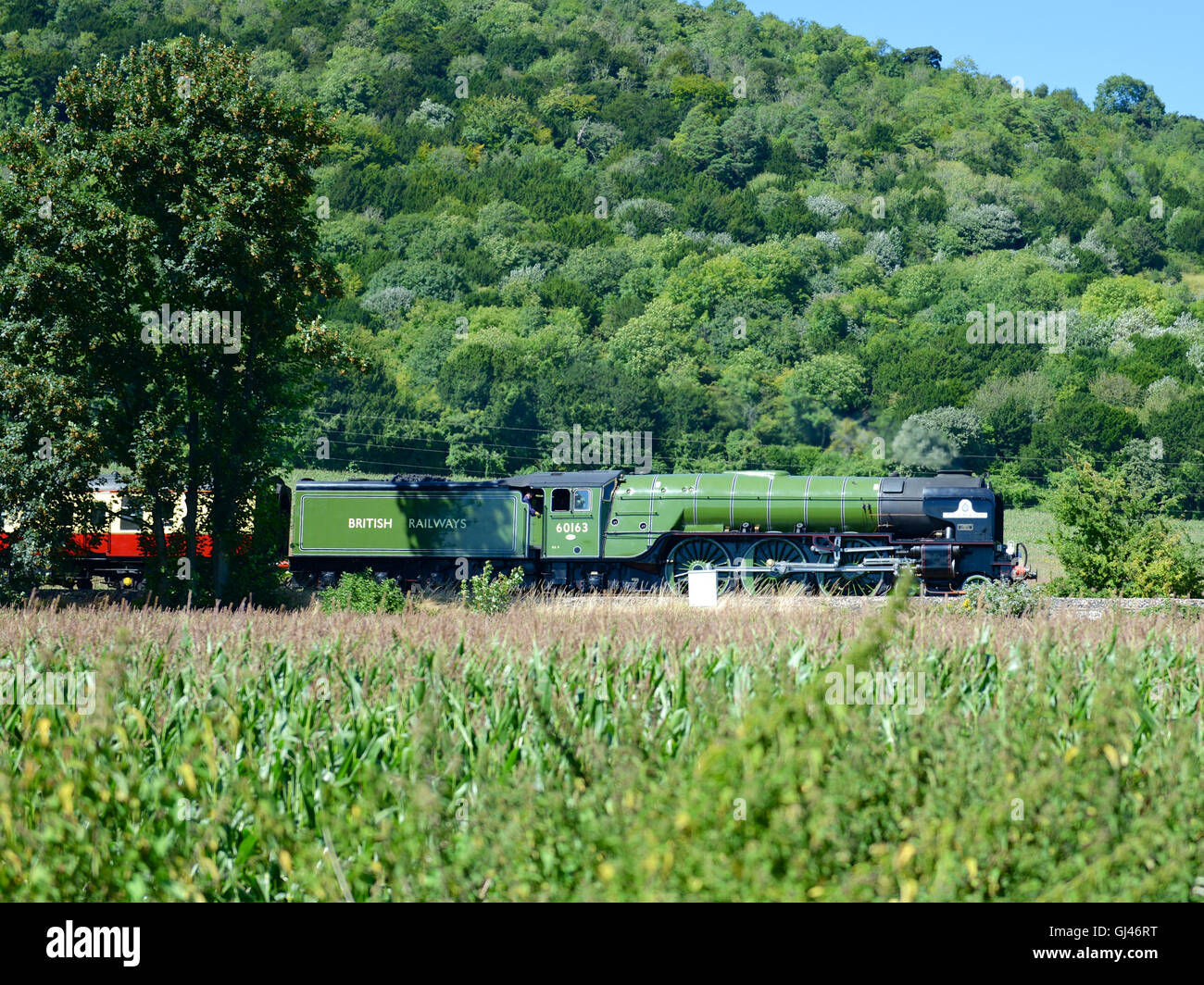 Belmond british pullman victoria hi-res stock photography and images ...
