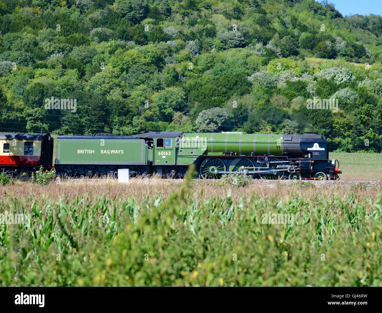 Belmond british pullman victoria hi-res stock photography and images ...