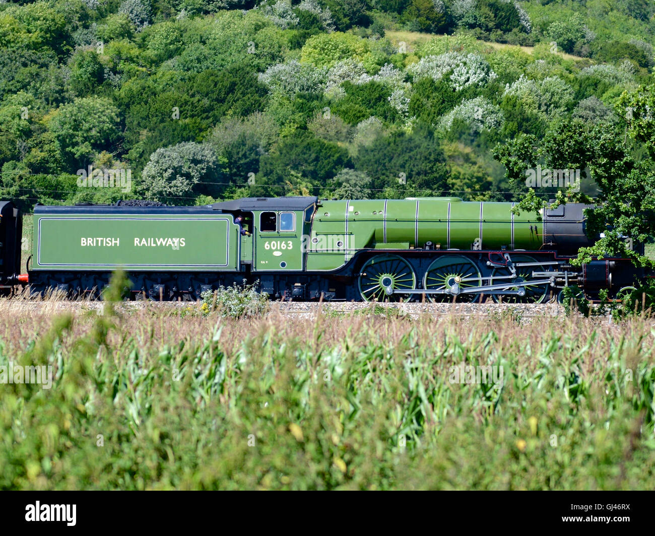 London, UK. 12th August, 2016. The Belmond British Pullman 60163 ...