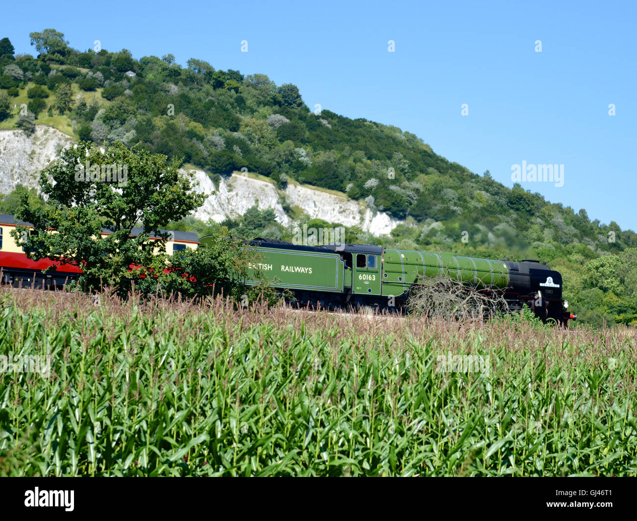 Belmond british pullman victoria hi-res stock photography and images ...