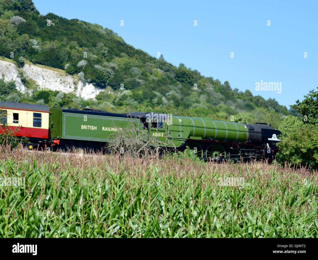 Belmond british pullman victoria hi-res stock photography and images ...