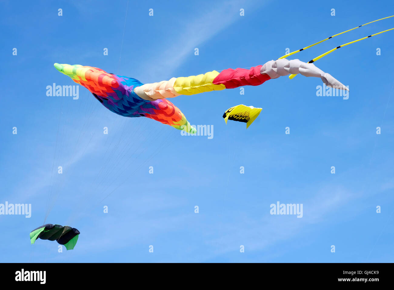 kites flying at the 25th international kite festival southsea england ...