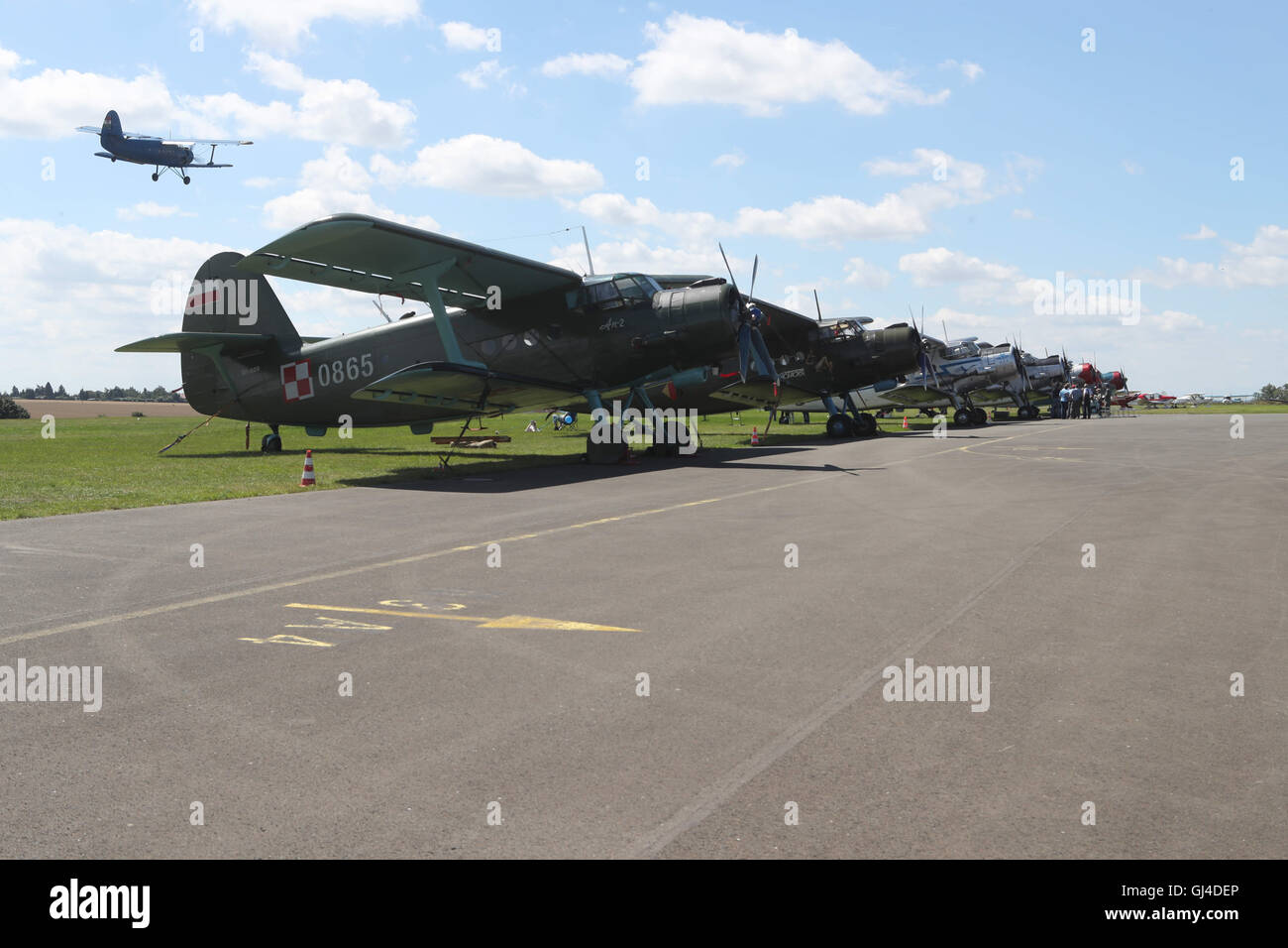 Gera, Germany. 13th Aug, 2016. Planes of the type AN 2 can be seen at ...
