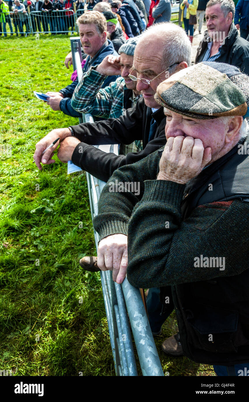 Ardara, County Donegal, Ireland. 13th Aug, 2016. Farmers look on with ...