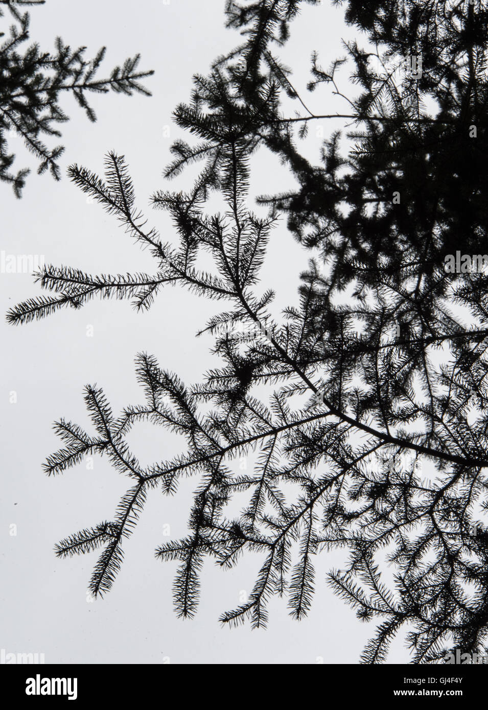 Seebach, Germany. 28th July, 2016. View of the national park ...
