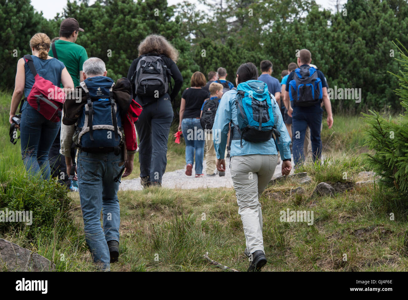 Seebach, Germany. 28th July, 2016. A group of hikers walking through ...