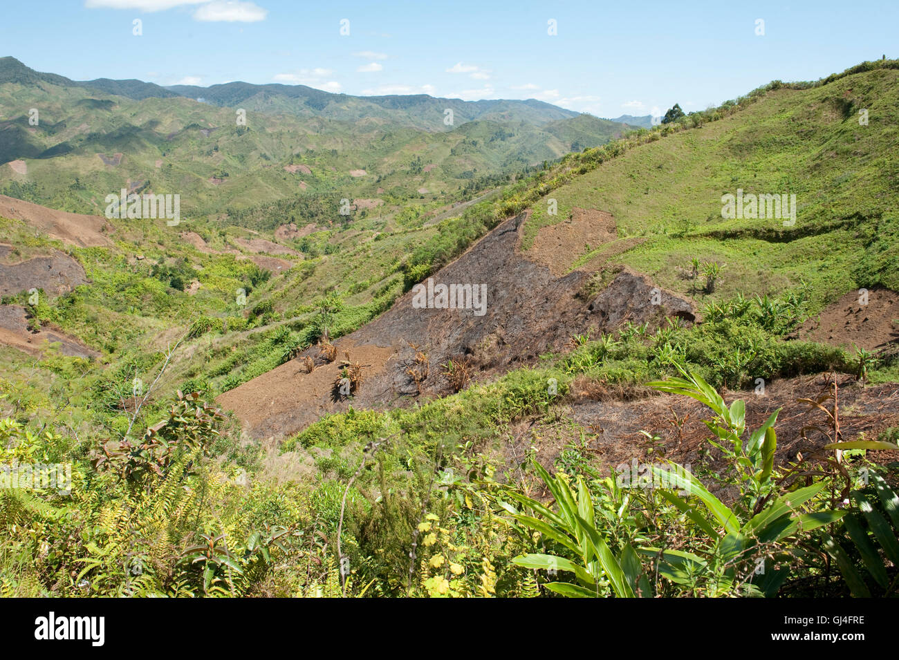 Slash and burn hi-res stock photography and images - Alamy