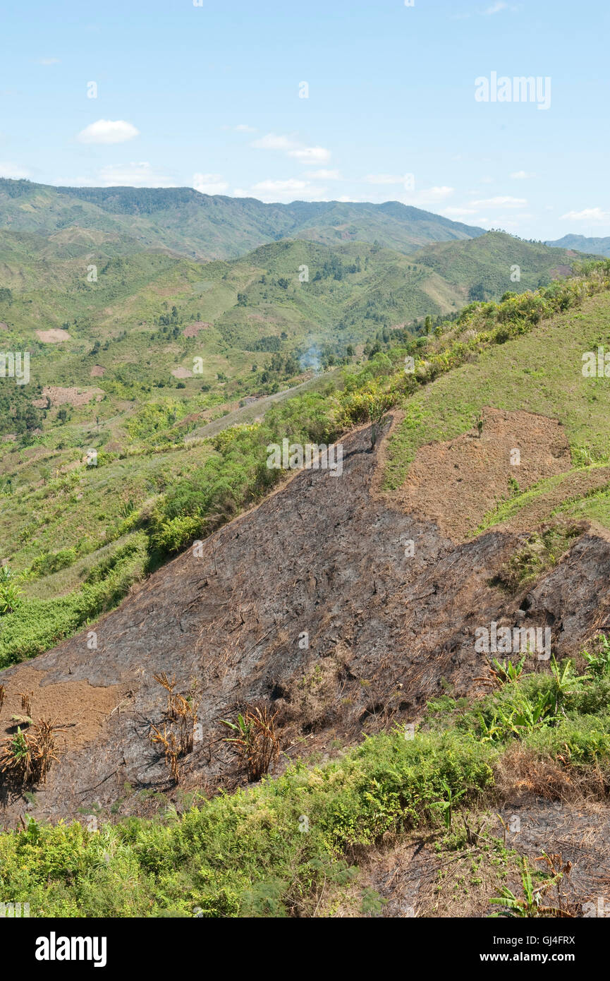 Slash and burn rainforest destruction hi-res stock photography and ...